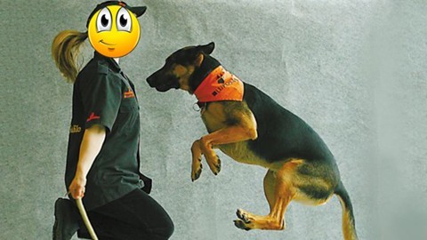 二哈的花式跳绳,铁定参加比赛得第一,顺数倒数不一定