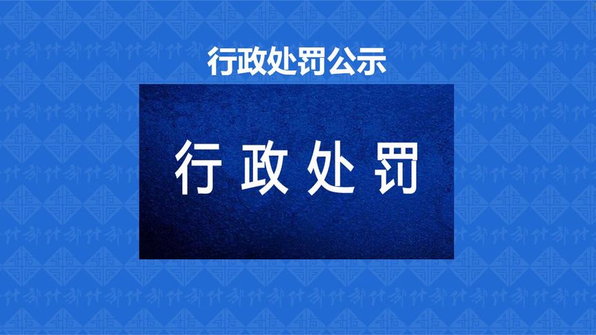 行政处罚公示