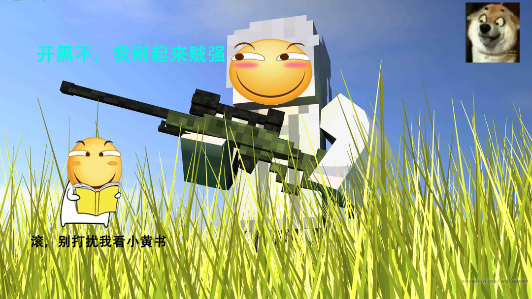 我的世界服务器小游戏【枪械起床】人生的大起大落=血隐