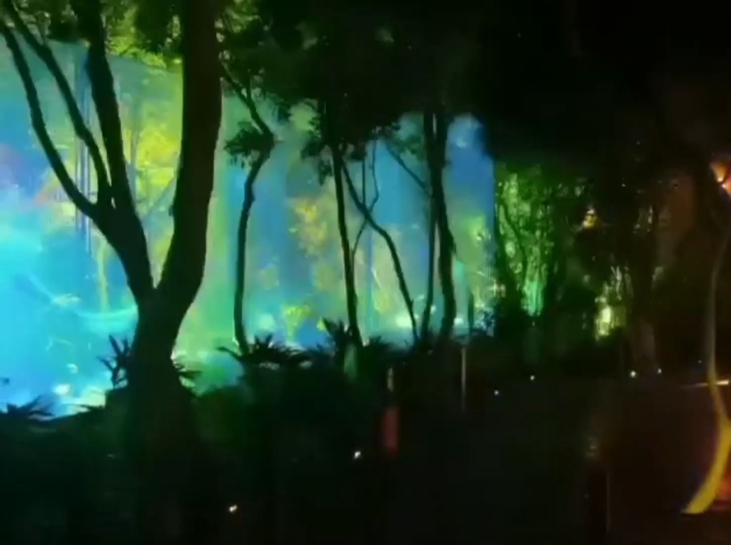 自然之美实景山林光影夜游树木投影灯光秀