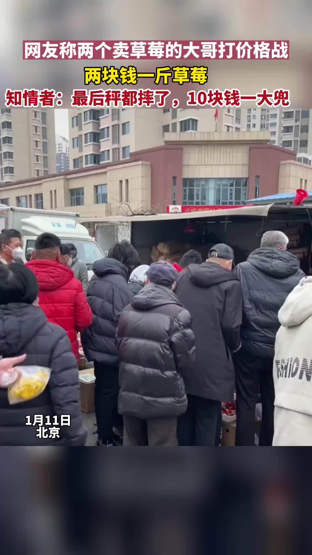 网友称两位商家为卖草莓打价格战,最后秤都摔了,10块钱一大兜