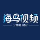 海鸟视频VIDEO 