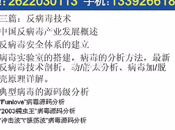 计算机病毒分析与防范技术1 赛迪