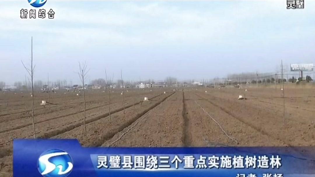 灵璧县围绕三个重点实施植树造林