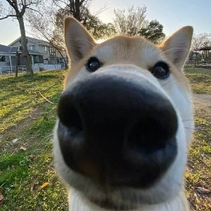 今天又心动了吗_ 