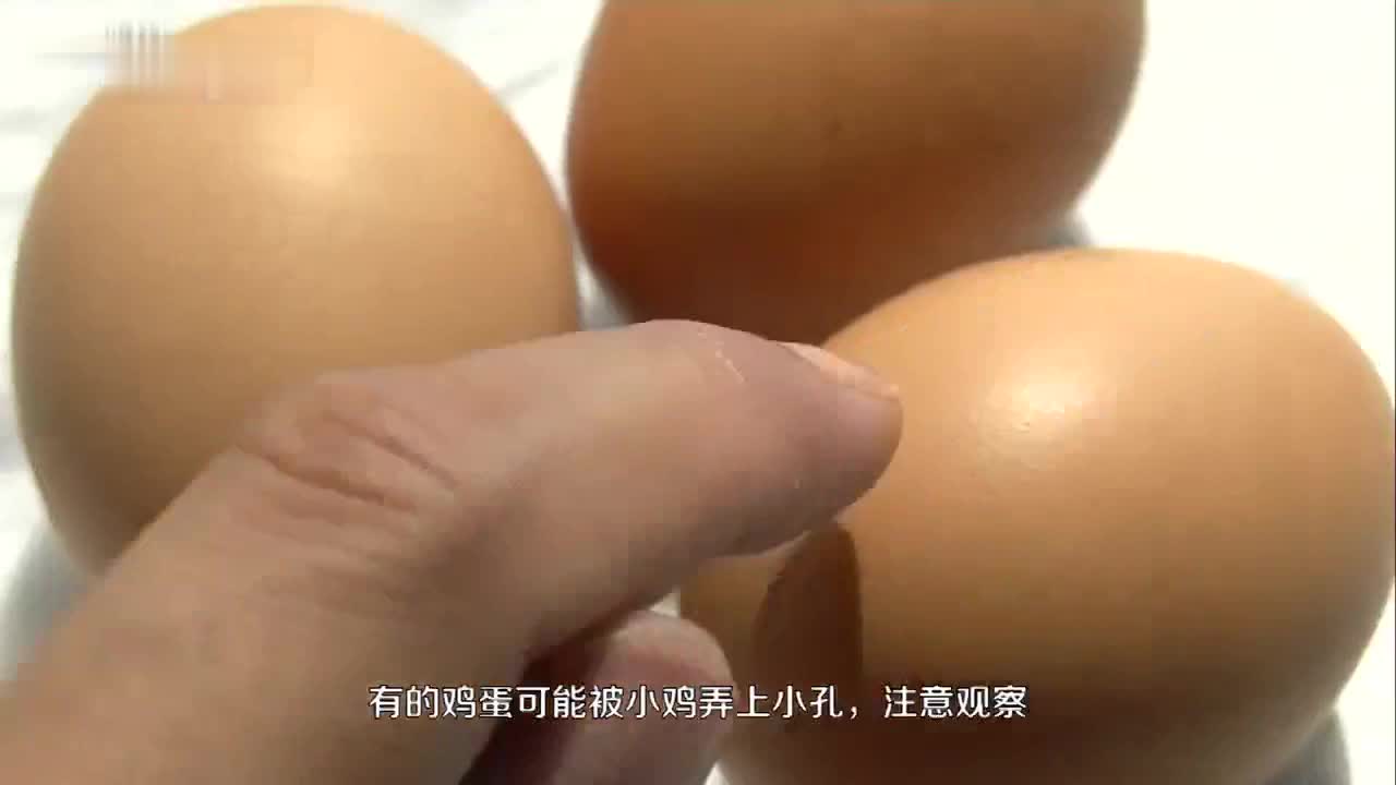 怎样分辨受精鸡蛋