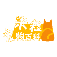 米粒宠物百科 