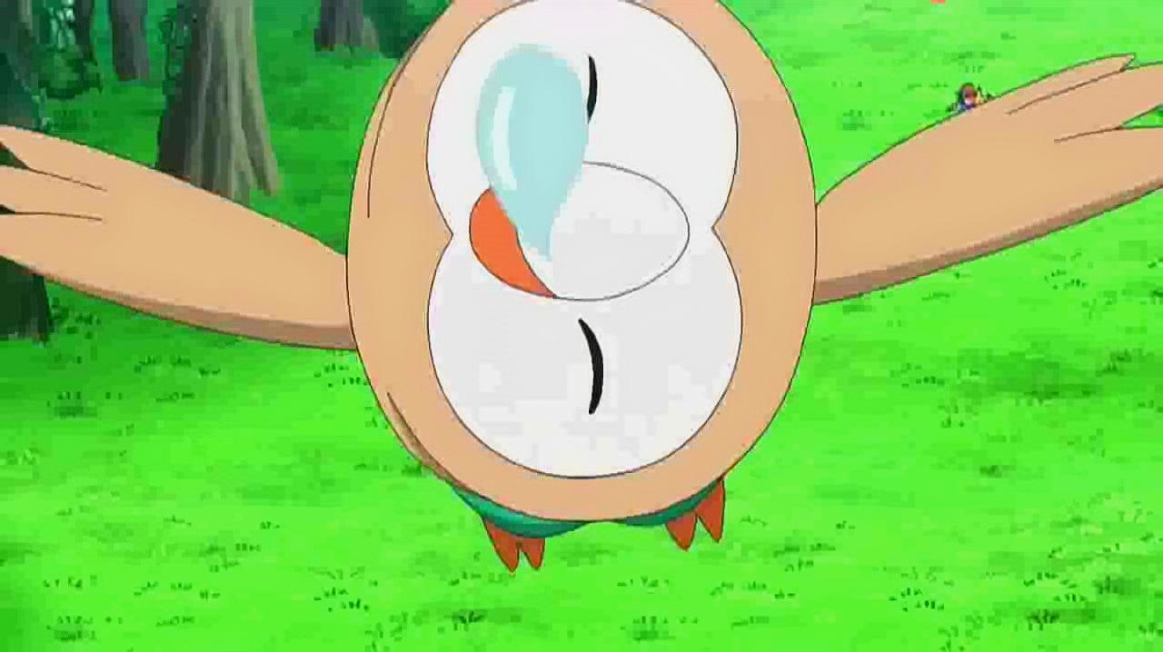 神奇宝贝:木木枭对投羽枭,木木枭边飞边睡,投羽枭一头扎到地上