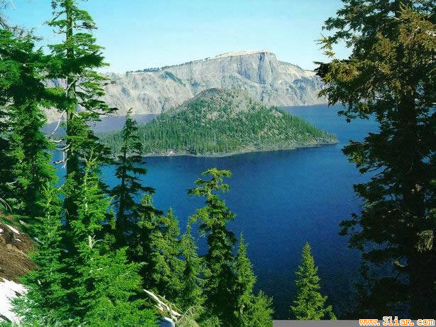 爱哭爱笑的小山猪 