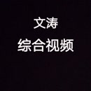 文涛综合视频 