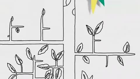 植物:从种子到大树[动画]