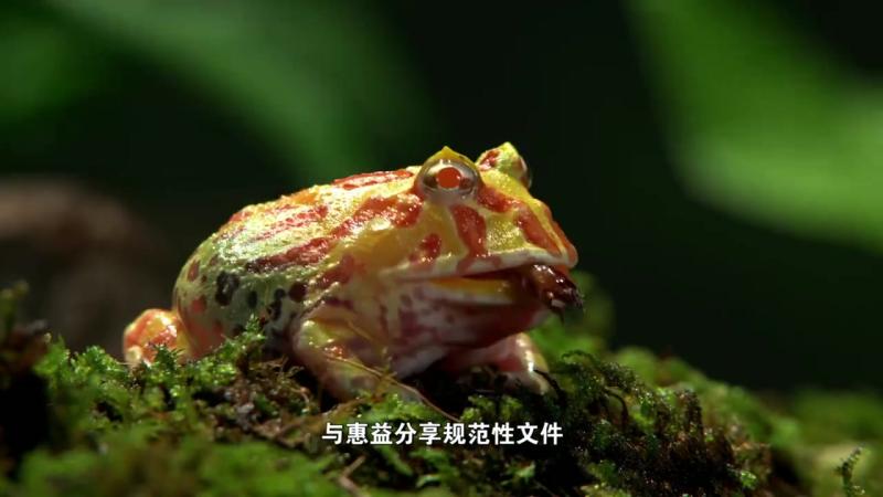 ...展示各地过去一年的工作进展,以及贯彻落实2022年全国生态环境保护...