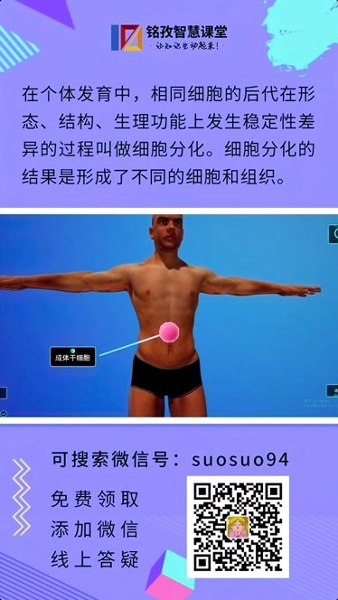 高中生物课程——细胞的分化(铭孜3D沉浸式生物课件)