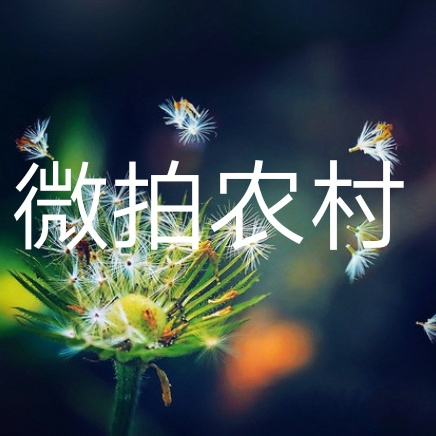 微拍农村 
