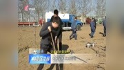 高新区开展义务植树活动