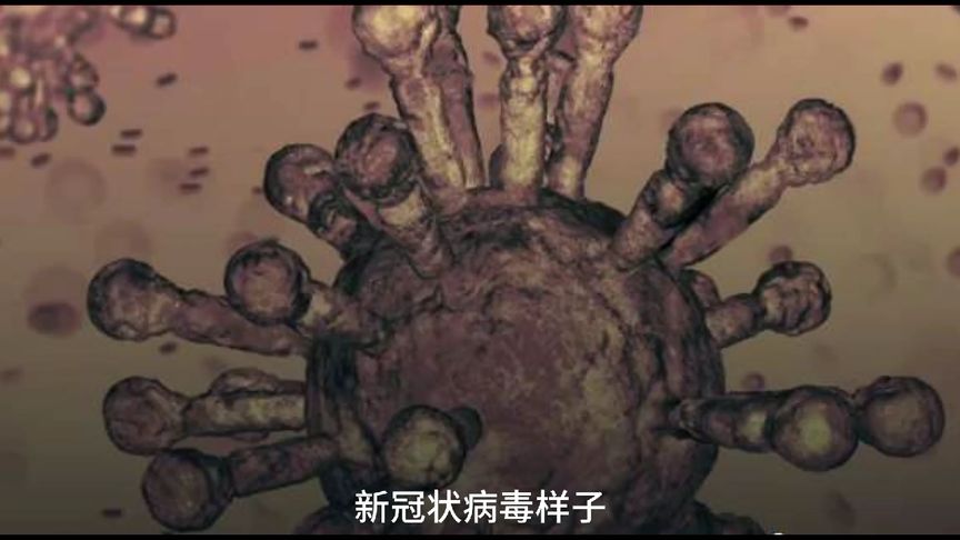 冠状病毒长什么样,新冠状病毒与Sars发病速度对比