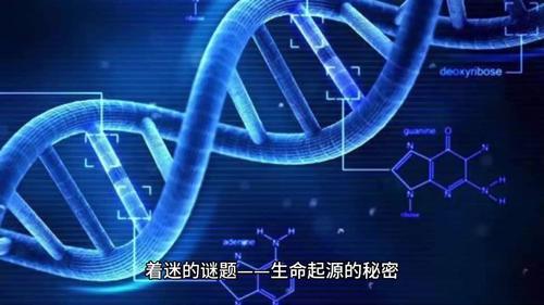 生命起源的秘密:揭示生命诞生于地球上的神奇历程