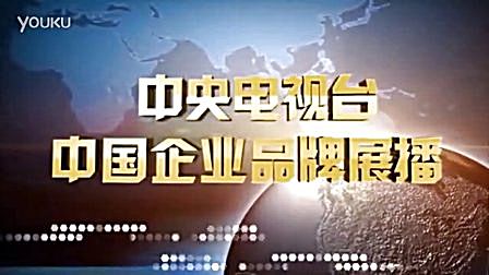cctv推荐品牌 红马木门 中国企业品牌展播推荐品牌 品牌木门 中央电视...