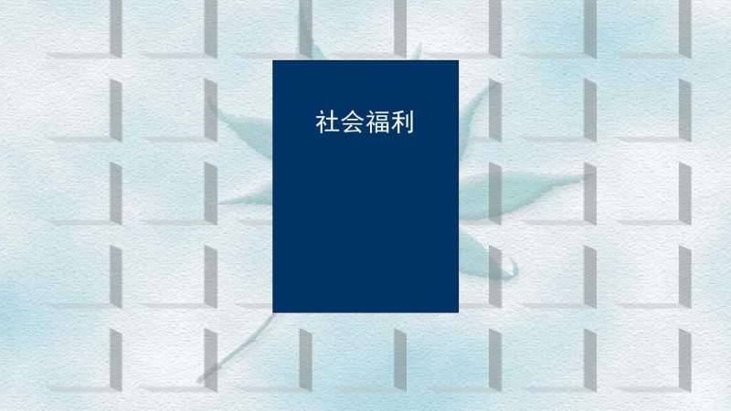 一分钟了解社会福利