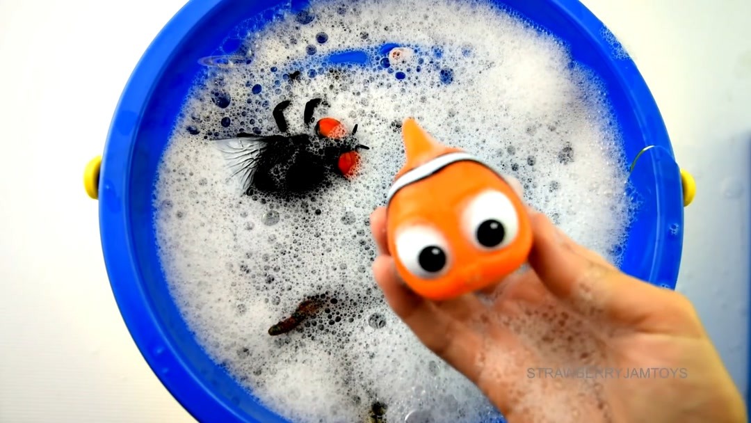 乐享动物乐园 第7季 第497集 带你认识海底总动员尼莫和大鲨鱼