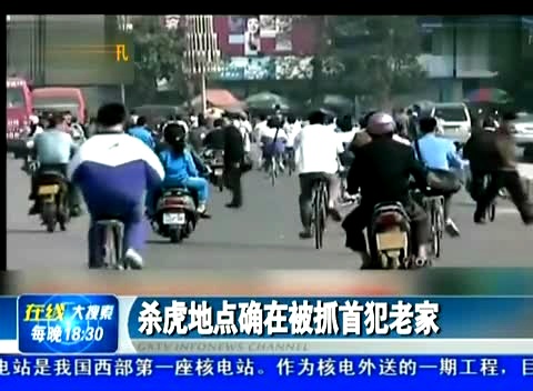 湛江:捕杀野生动物案破获 团伙宰杀老虎现场视频曝光 在线大搜索