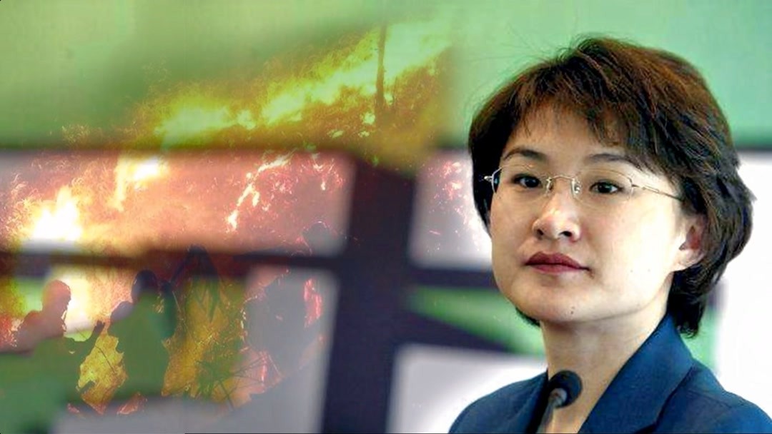 敬业工作的央视主持董倩,竟被骂滚出主持界,这究竟是为什么?