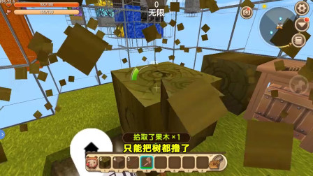 迷你世界空岛生存麻雀虽小五脏俱全小小玻璃瓶藏有大大的矿石