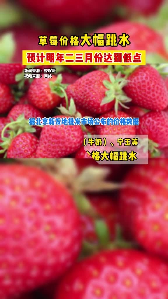 草莓价格大幅跳水,明年初或达低点。