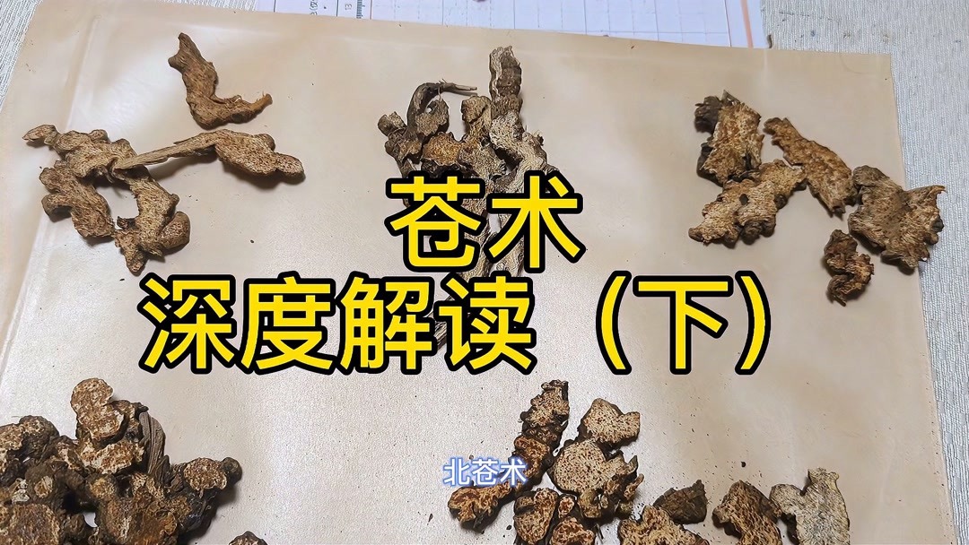 苍术:深度解读,教你一些你能用到的知识(下)