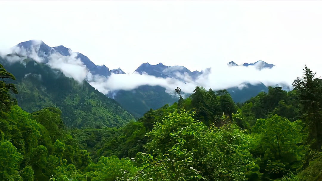 二郎山喇叭河旅游景区宣传片(一)