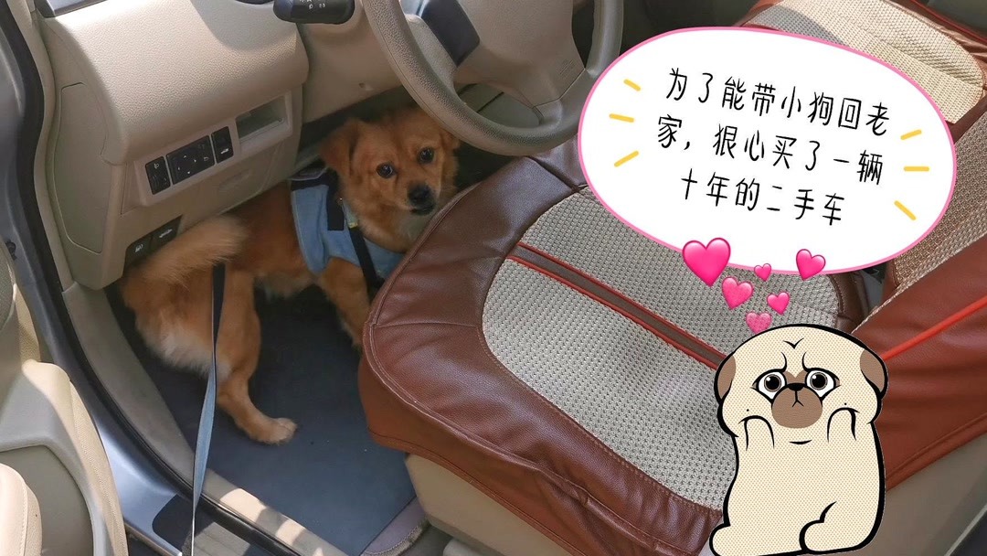 买一辆十年车龄的二手车,打工小伙有自己的理由,不只是为了面子