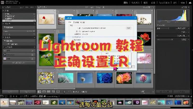 Lightroom 快速上手,设置LR,正确的设置有利于后期图片处理