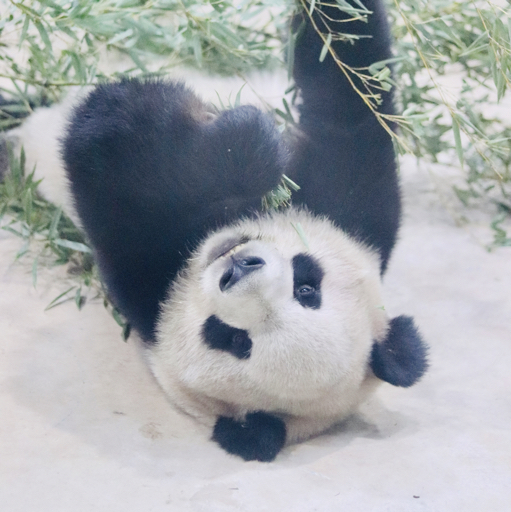 我住在地铁终点站 