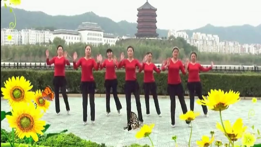 成功广场舞 月亮之上89