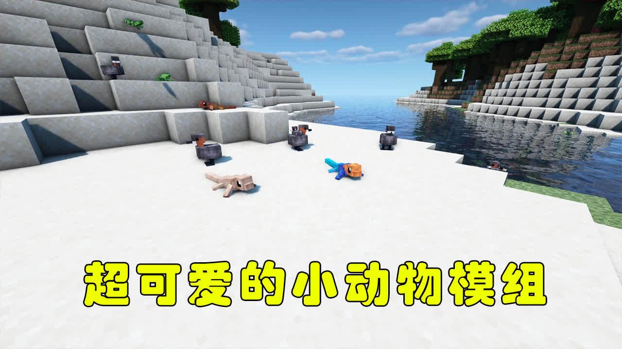 蓝少我的世界│超可爱的小动物模组!这个小可爱的名字你认识吗?