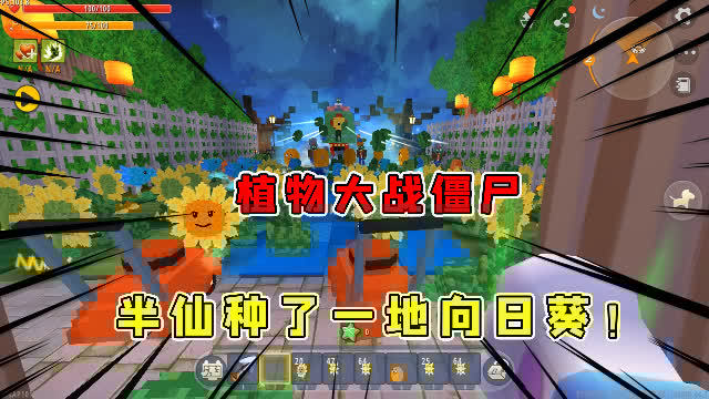 迷你世界:植物大战僵尸,半仙种了向日葵,阳光多到用不完!