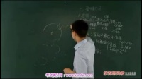 2.3减数分裂与受精作用知识点 高中生物 13课时学完生物必修2 高阳【...