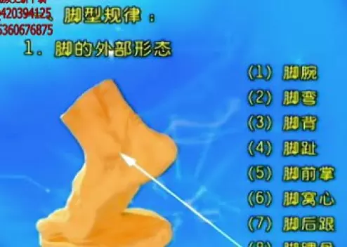 【免费下载】鞋样设计基础教程
