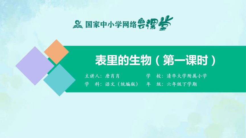 小学6年级语文同步课-下册(统编版)-31讲:表里的生物(第1课时)