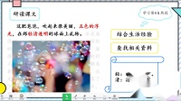 部编版三年级下册语文《肥皂泡》教学视频第二课时