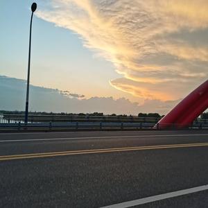 番茄4292106964455208 