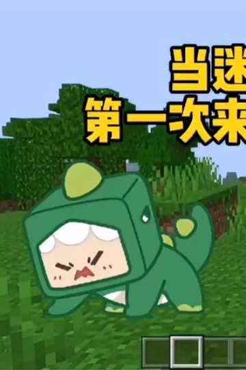 我的世界:当迷你玩家初次来MC会怎样?
