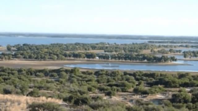 地球上的沙漠变成森林,会有什么后果?结果看完你都不敢相信