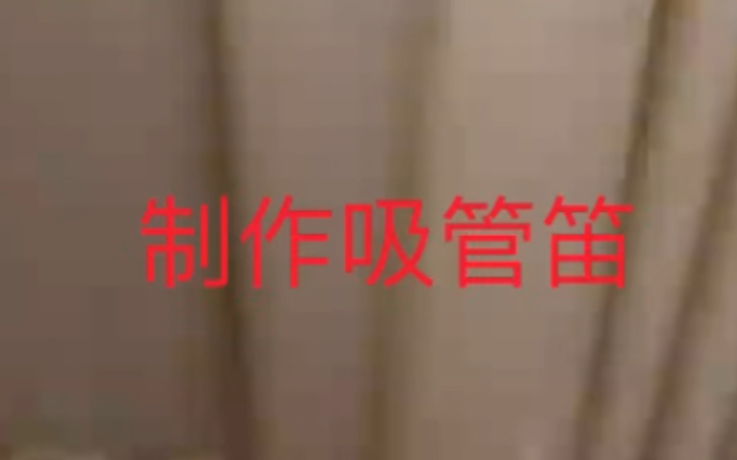 制作吸管笛子,发出不同音调的声音