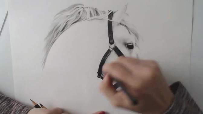 如何在一张白纸上画一匹白马,这才是铅笔画的最高境界,最难画的