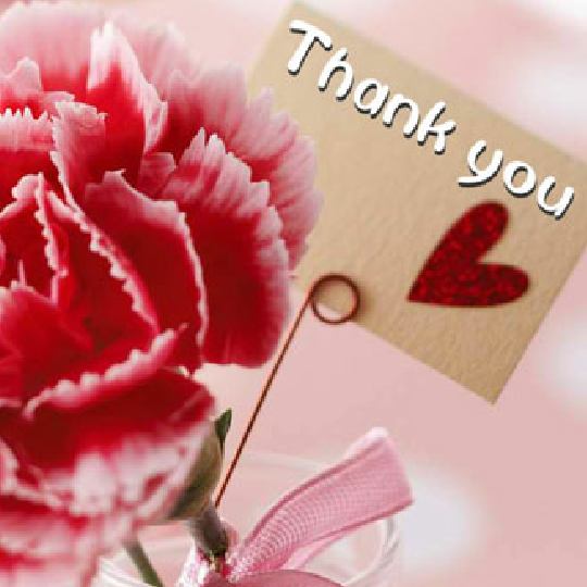 飞扬1482046074292351 