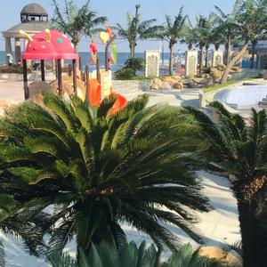 置业顾问易雪莲 