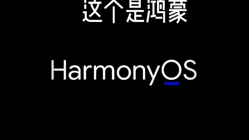 你以为的你以为不是你以为的你以为(不一样的待机动画)
