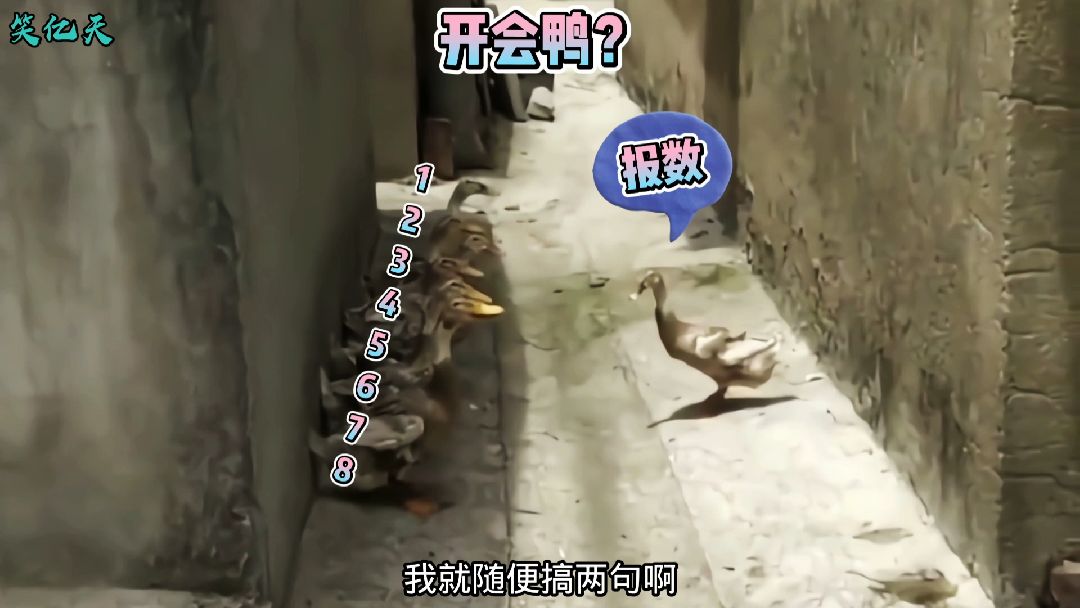 动物的迷惑行为,都学会开会了#配音模仿