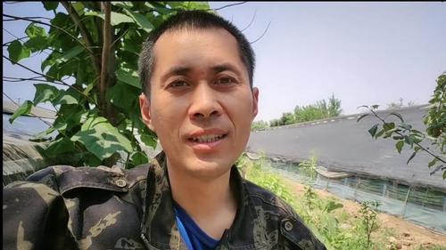 第1年新栽的无花果多久能结果?不结果怎么办?做好2点,问题可解